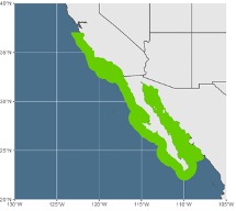 CA Marine Species Portal