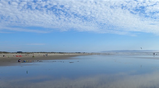 CA Marine Species Portal