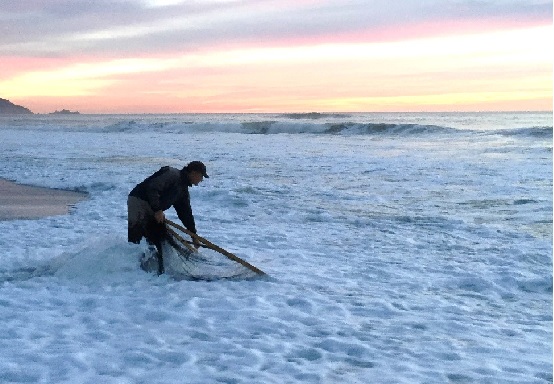 CA Marine Species Portal
