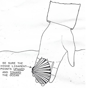 CA Marine Species Portal