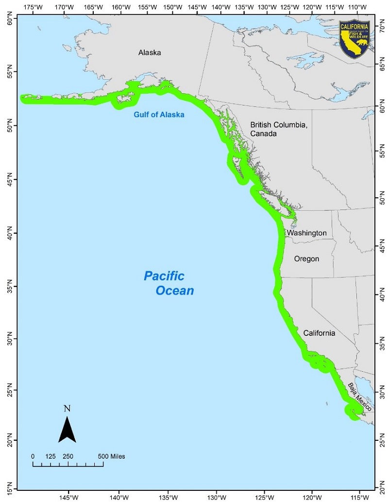 CA Marine Species Portal