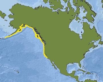 CA Marine Species Portal
