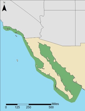 CA Marine Species Portal