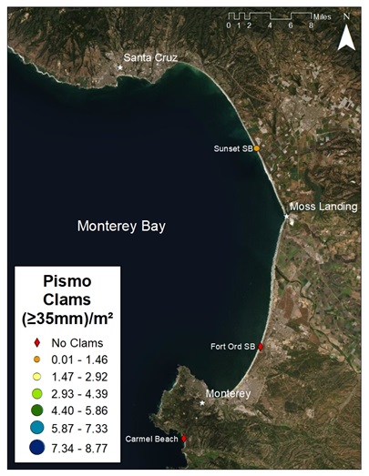 CA Marine Species Portal