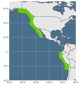 CA Marine Species Portal