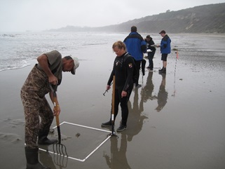 CA Marine Species Portal