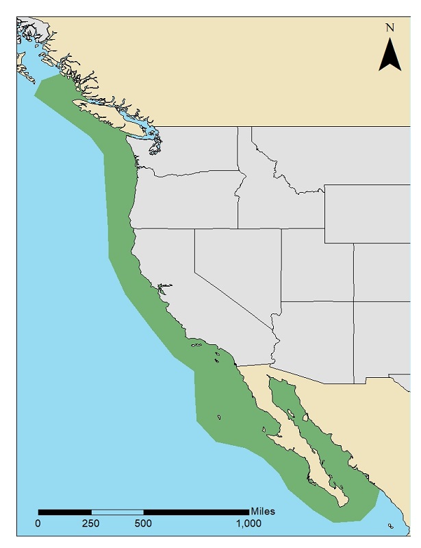 CA Marine Species Portal
