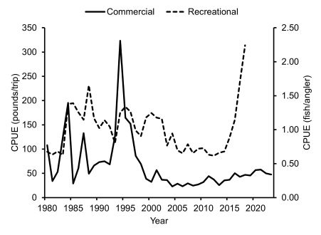 CA Marine Species Portal