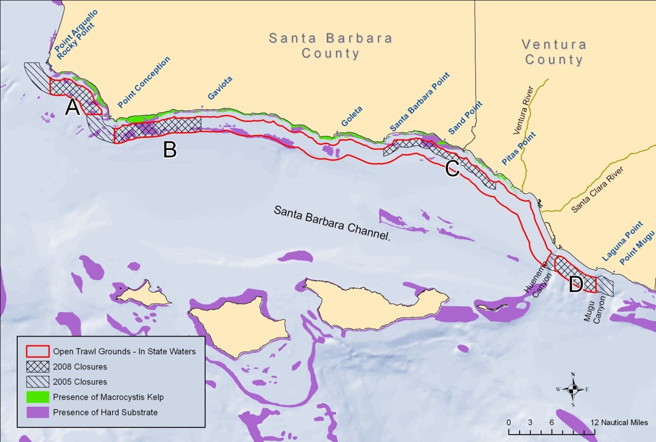 Ca Marine Species Portal