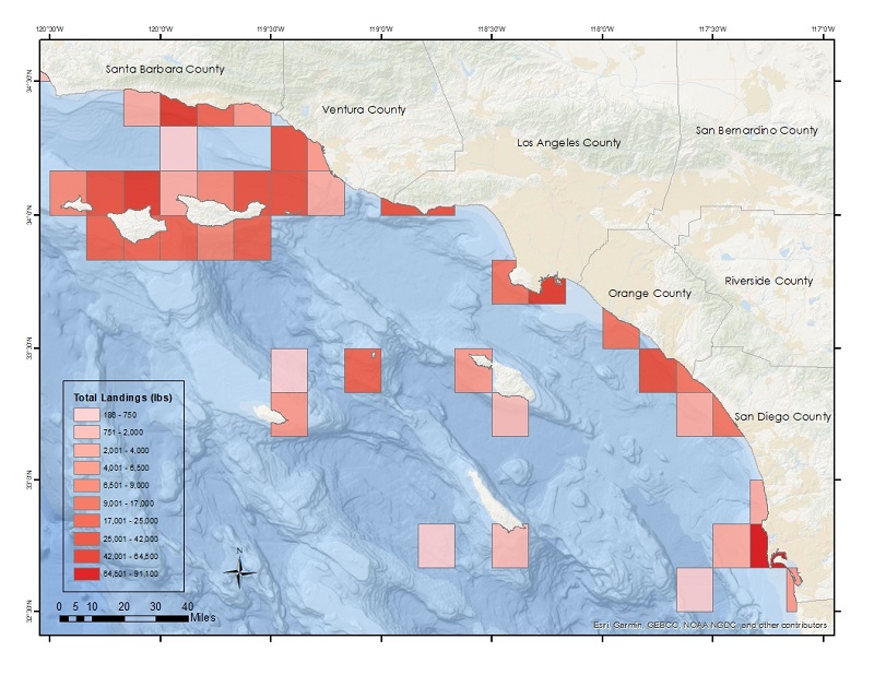 CA Marine Species Portal