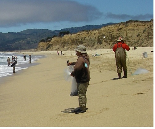 CA Marine Species Portal