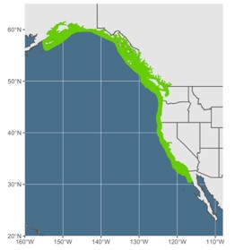 CA Marine Species Portal