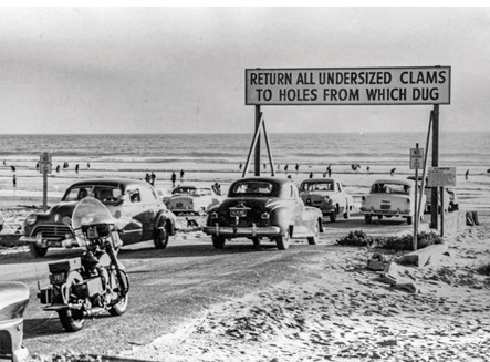 CA Marine Species Portal