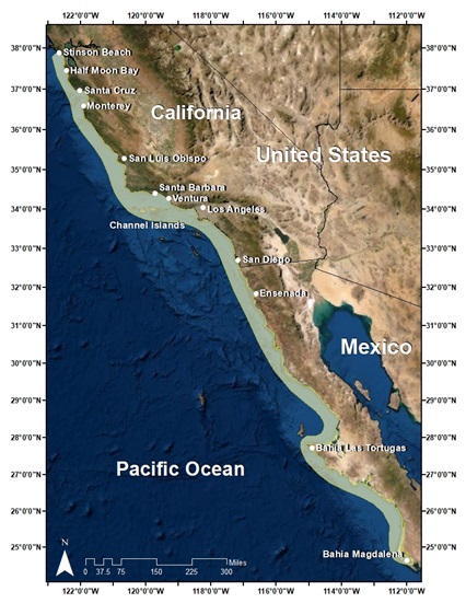 CA Marine Species Portal