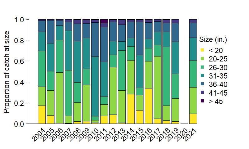 CA Marine Species Portal