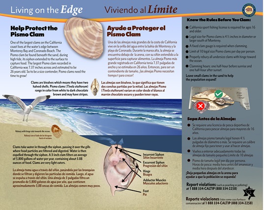 CA Marine Species Portal