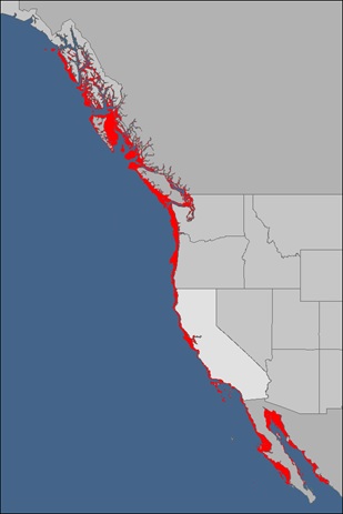 CA Marine Species Portal