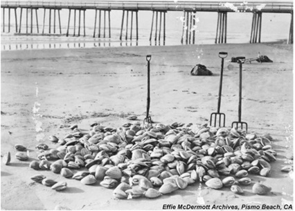 CA Marine Species Portal