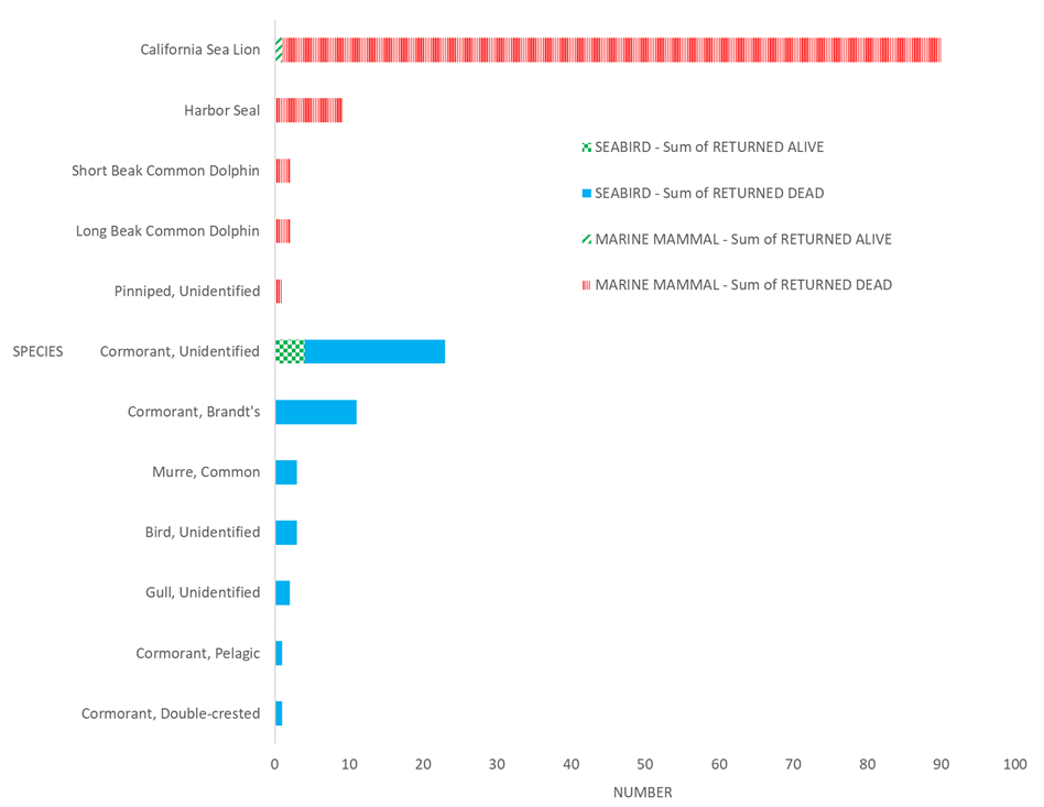 Ca Marine Species Portal