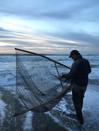 CA Marine Species Portal