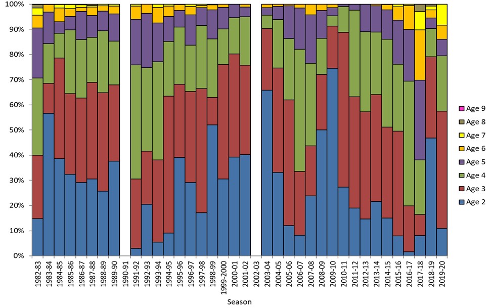 CA Marine Species Portal