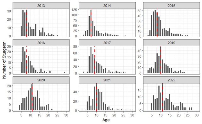 CA Marine Species Portal
