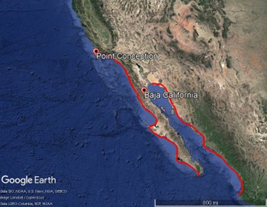 CA Marine Species Portal